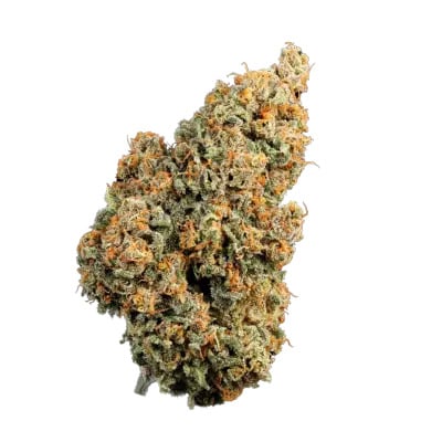 Oreoz Z Triploid Feminised Cannabis Seeds online.