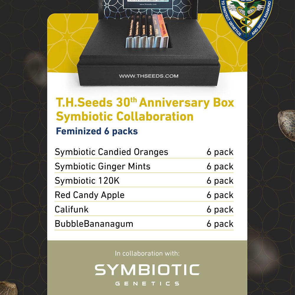 Buy T.H.Seeds x Symbiotic Genetics Feminized 30th Anniversary Box ...